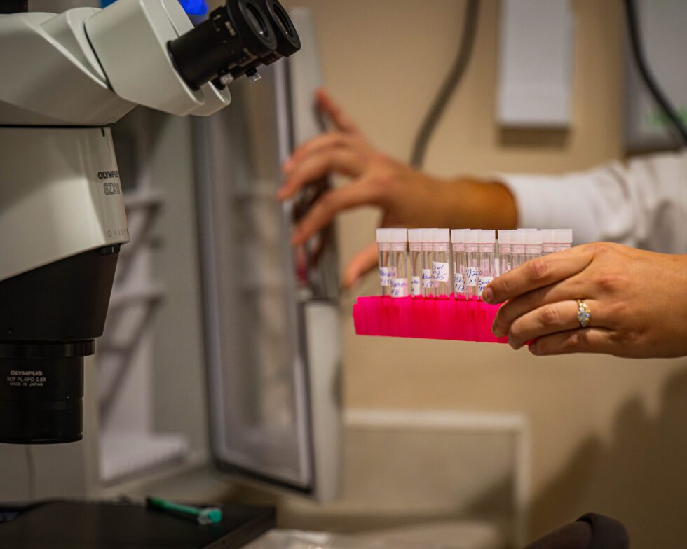 GenOvations IVF Laboratory